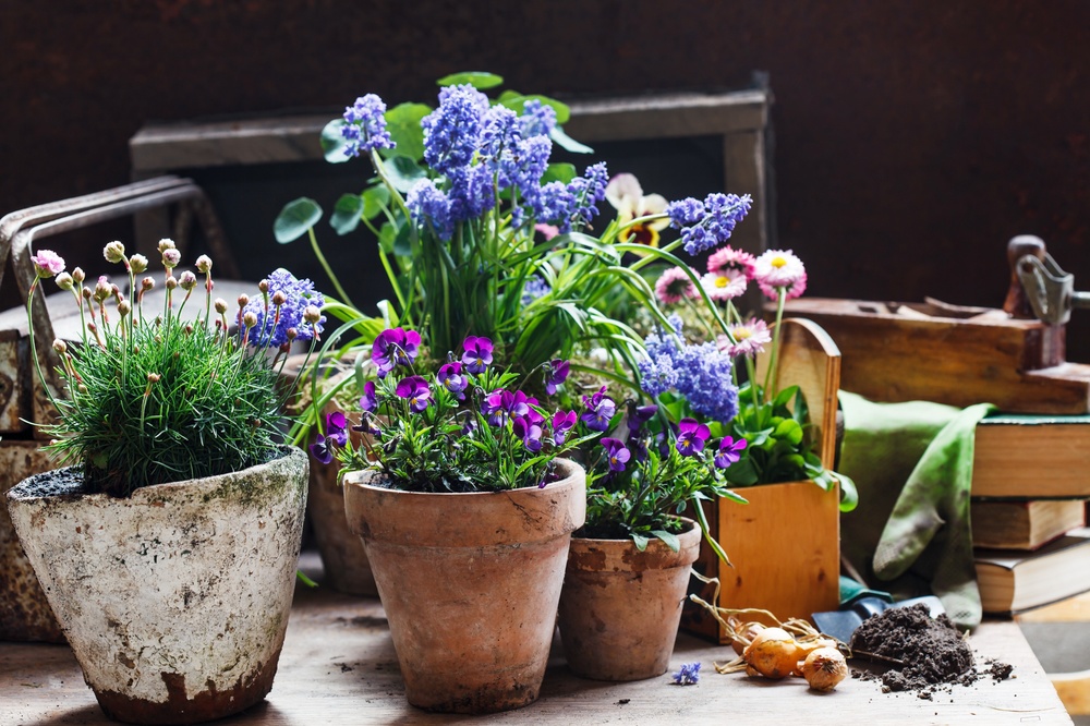 Here's how to make the most of your spring garden - Little Tree Garden ...